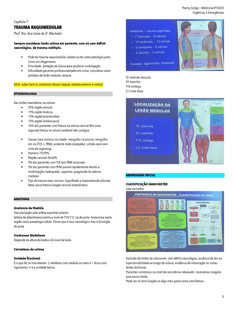 AULA 1 (7) Trauma Vertebromedular | PDF
