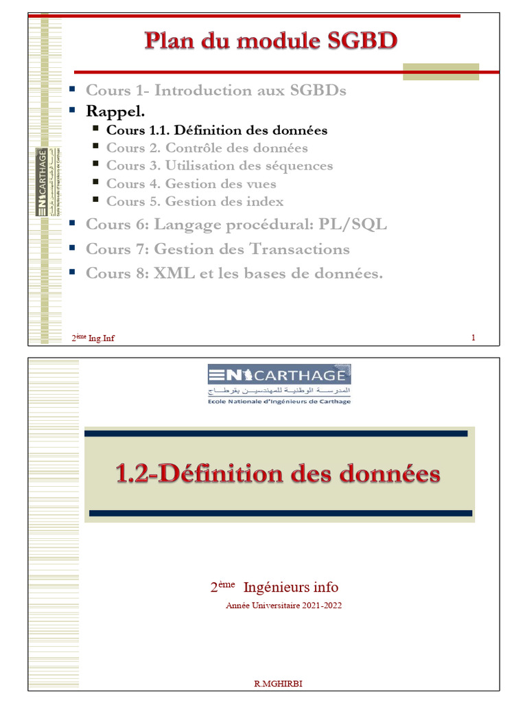 1.2 SGBD. Définition Des Données | PDF