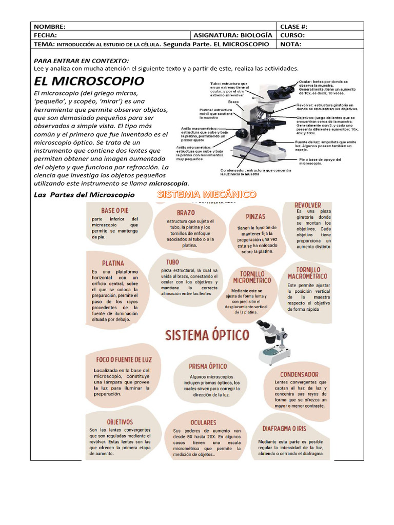 Actividad - 3 - Cartillabiología - Sexto - EL MICROSCOPIO | PDF ...