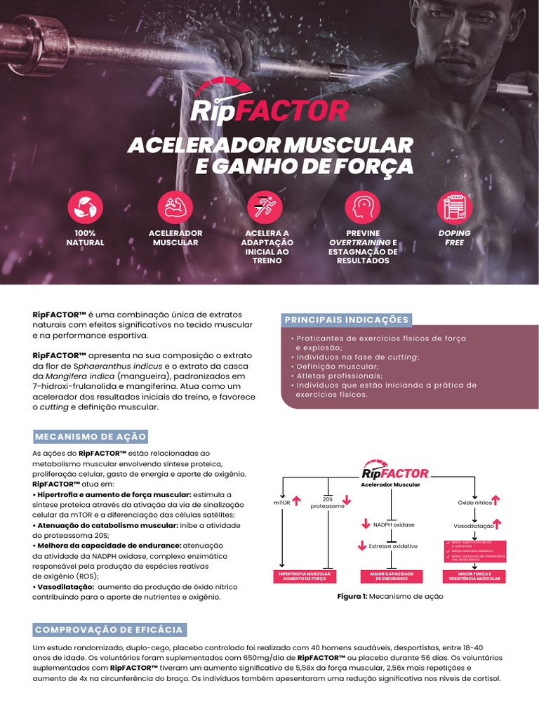 Lamina RipFactor Web | PDF