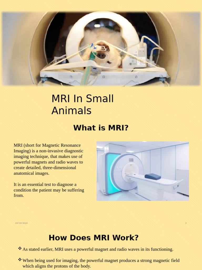 MRI Presentation | PDF