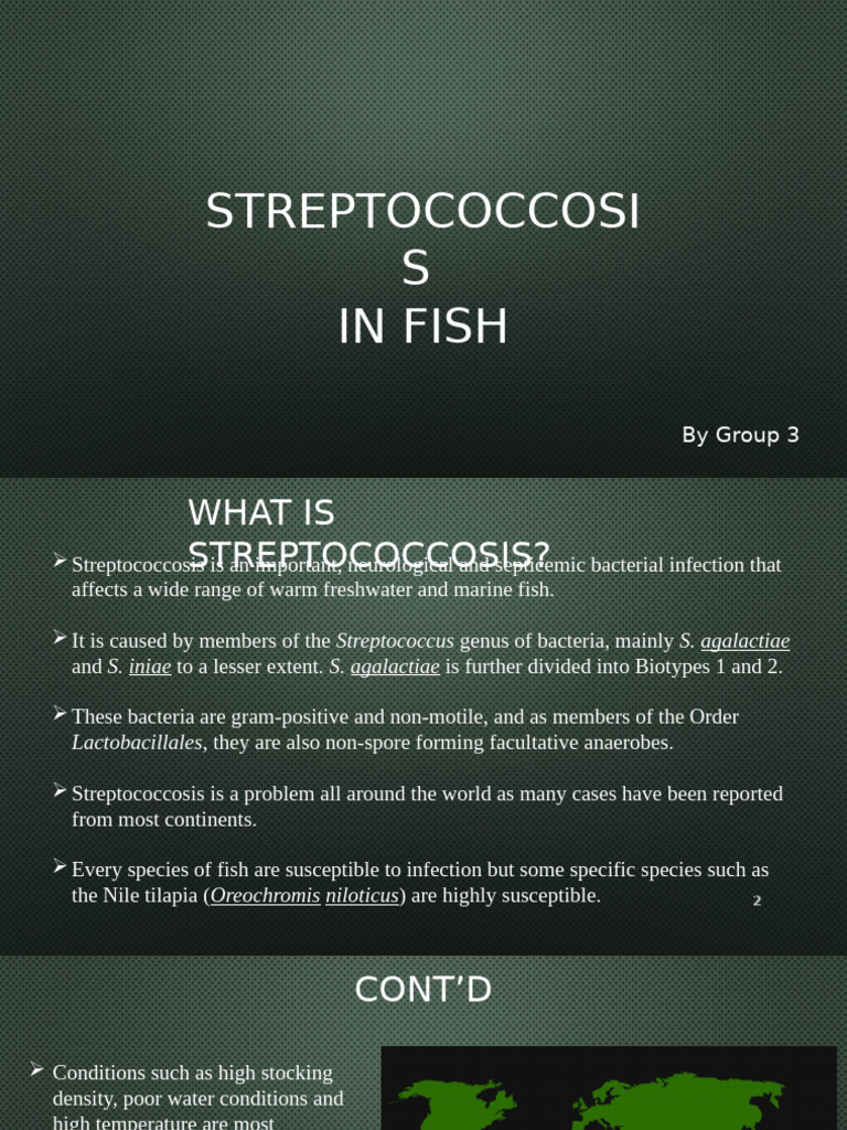 Strep To | PDF