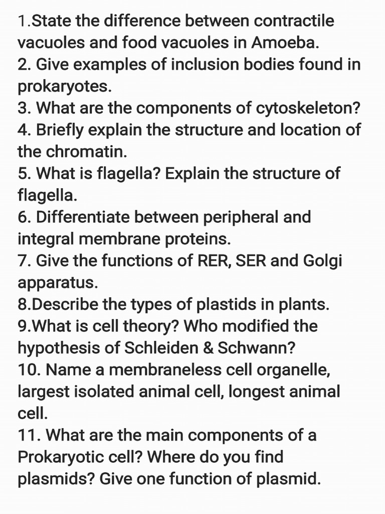 Cell Questions | PDF