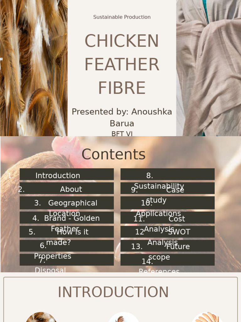 Chicken Feather Fibre | PDF