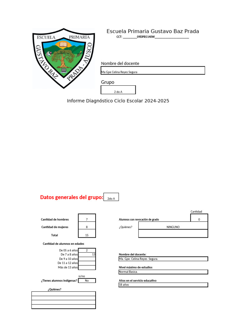 Diagnòstico Grupal Informe | PDF