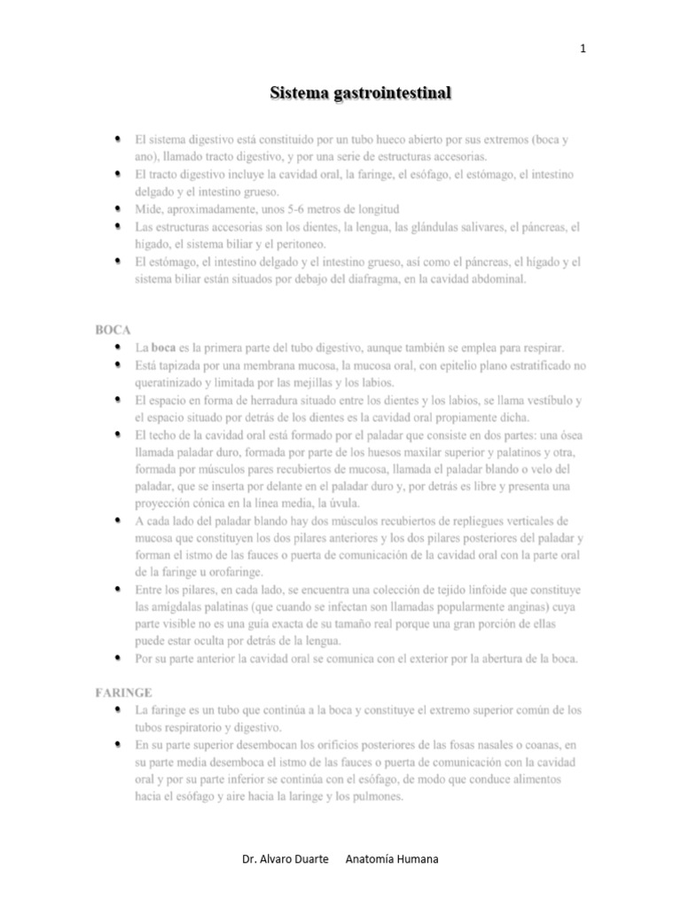 AnatomÃ A SGI | PDF