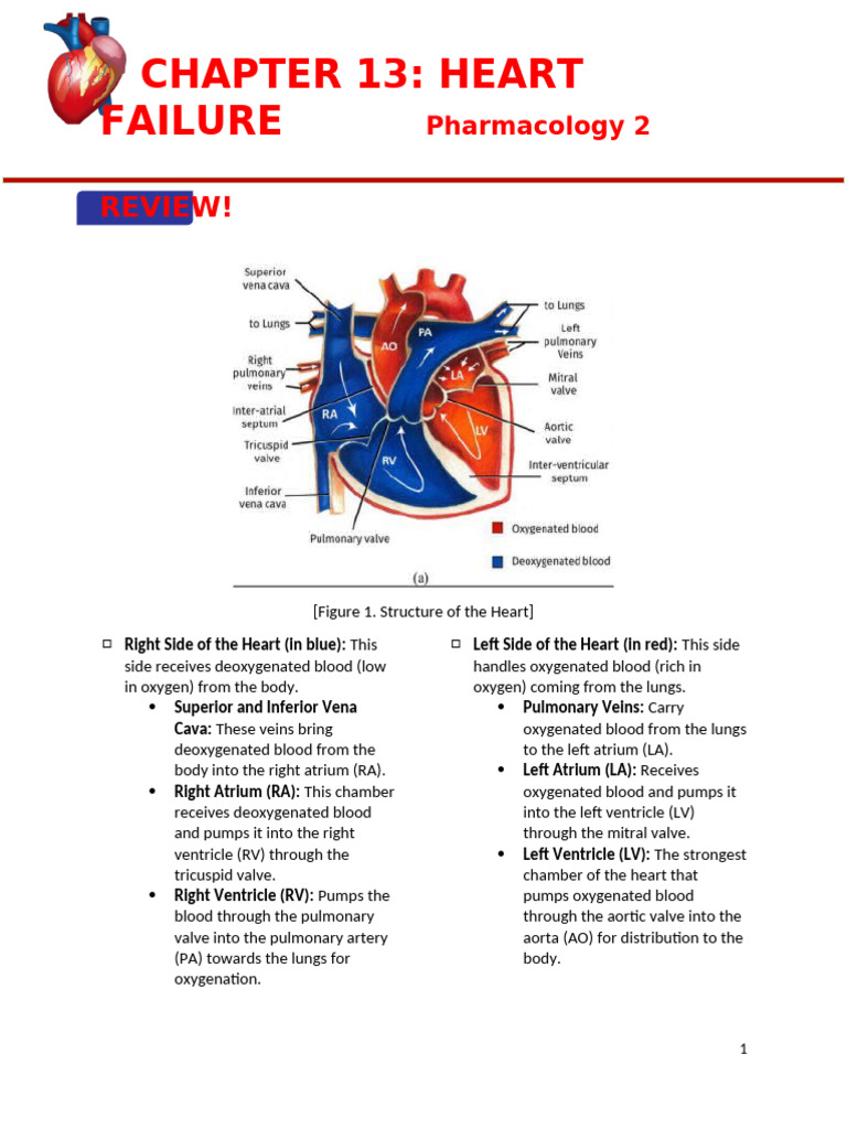 Heart Failure | PDF