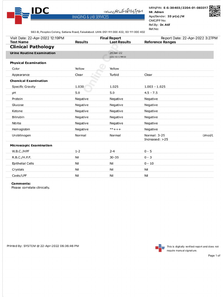 PatientReportPDF 2 | PDF