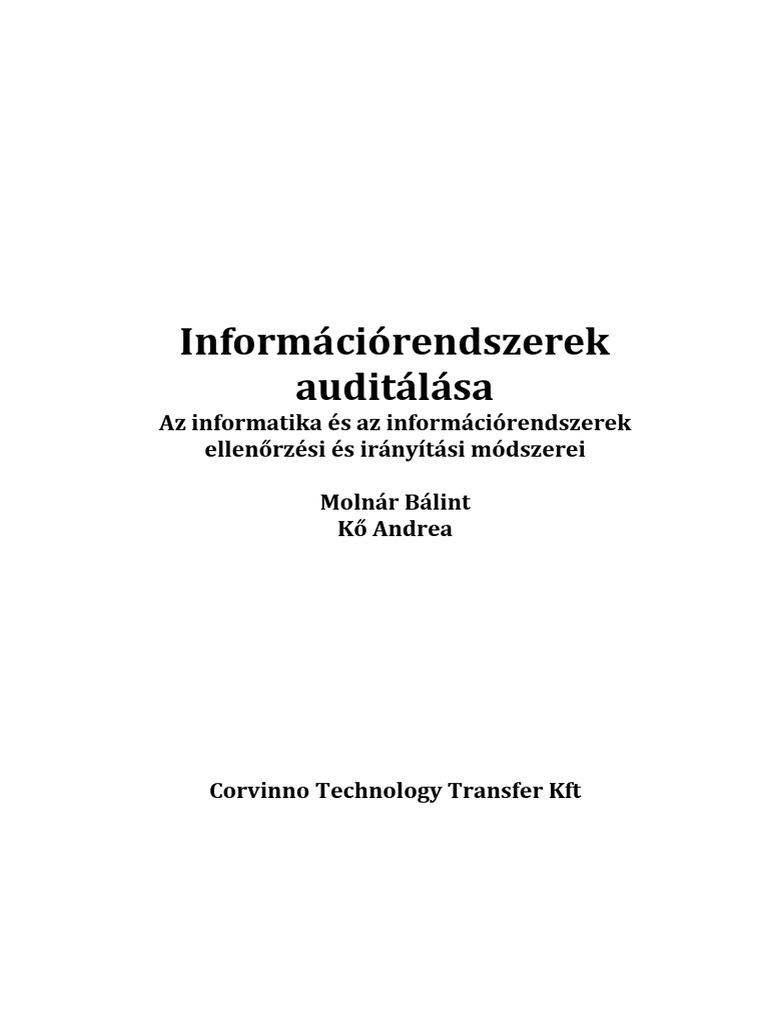 Informaciorendszerek Auditalasa Informat | PDF