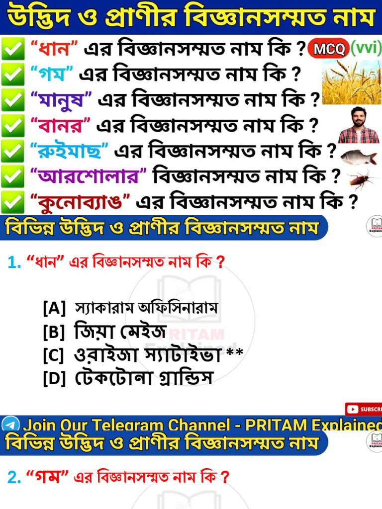 Scientific Name of Plants | PDF