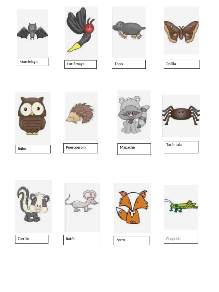 Animales Nocturnos | PDF