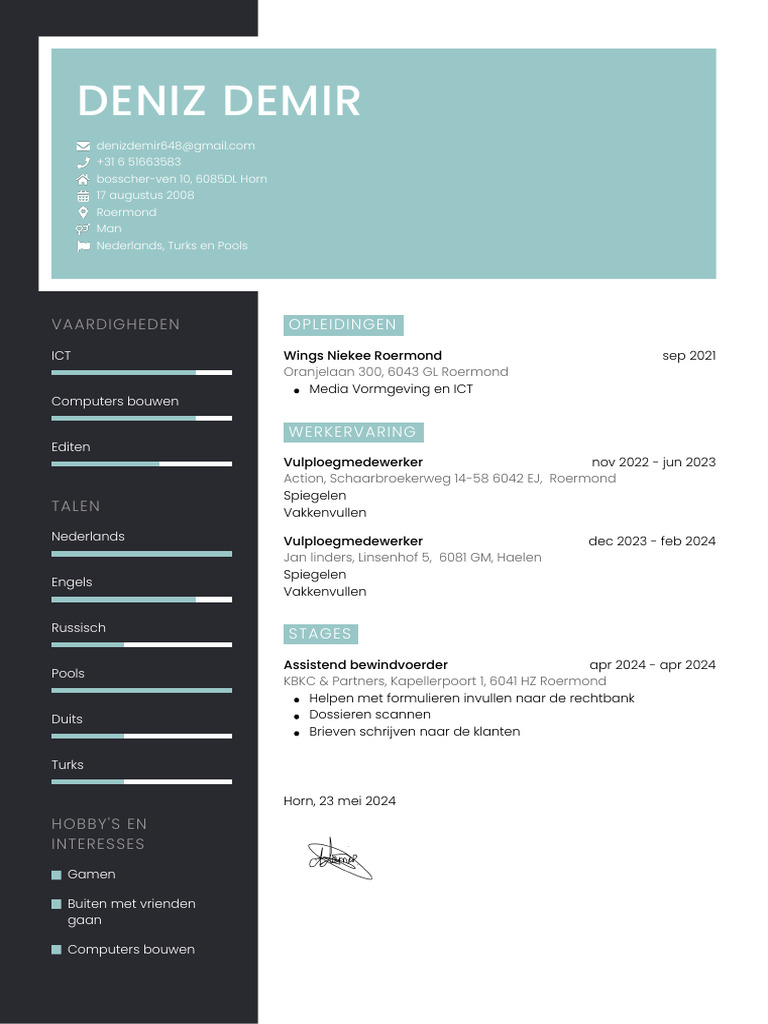 CV Deniz Demir | PDF