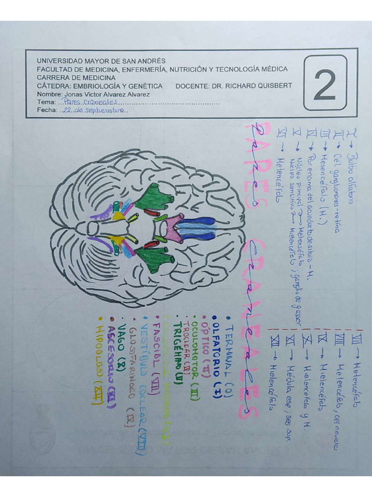 c685534d-22af-4d1d-99dc-6e216b4a1bca | PDF
