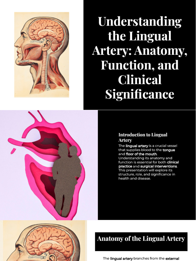 Slidesgo Understanding The Lingual Artery Anatomy Function and Clinical ...