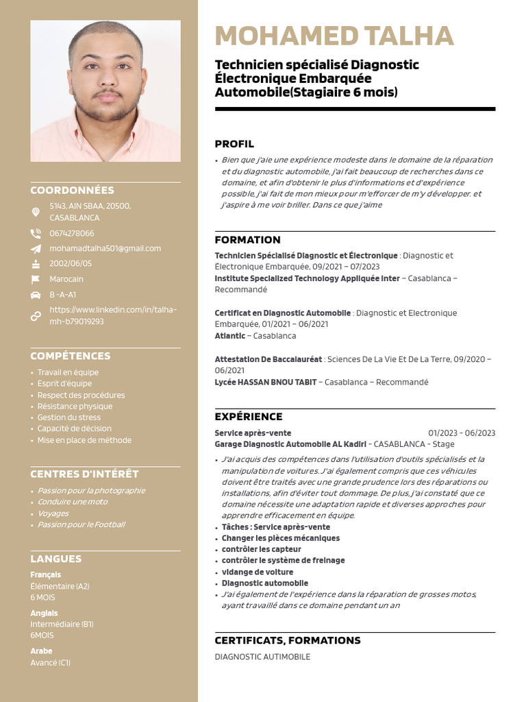 Mohamed Talha CV | PDF