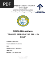Reflejo de Flehmen en Animales | PDF | Biología