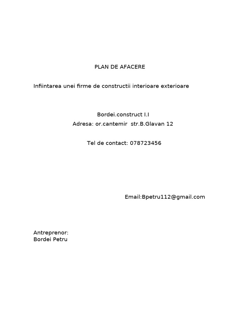 Plan de Afaceri | PDF