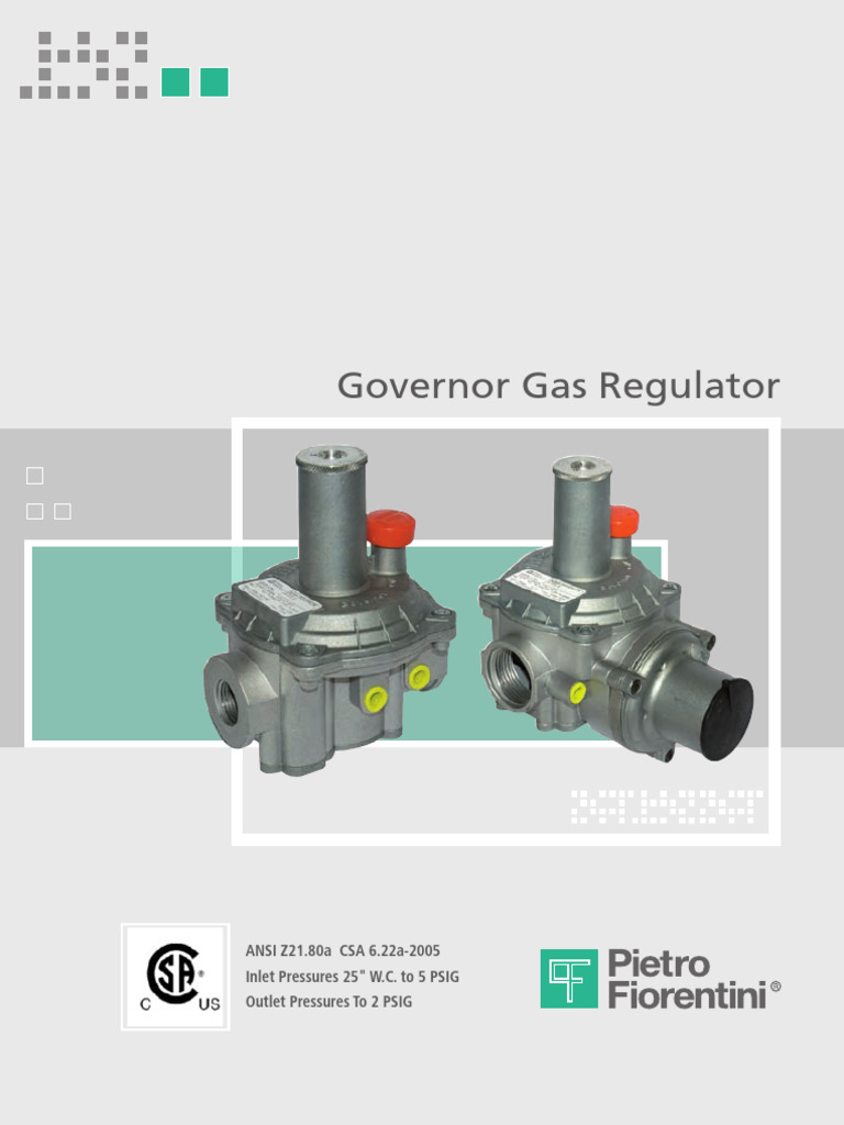 Pietro Fiorentini Gas Regulator Guide | PDF | Gases | Gas Technologies