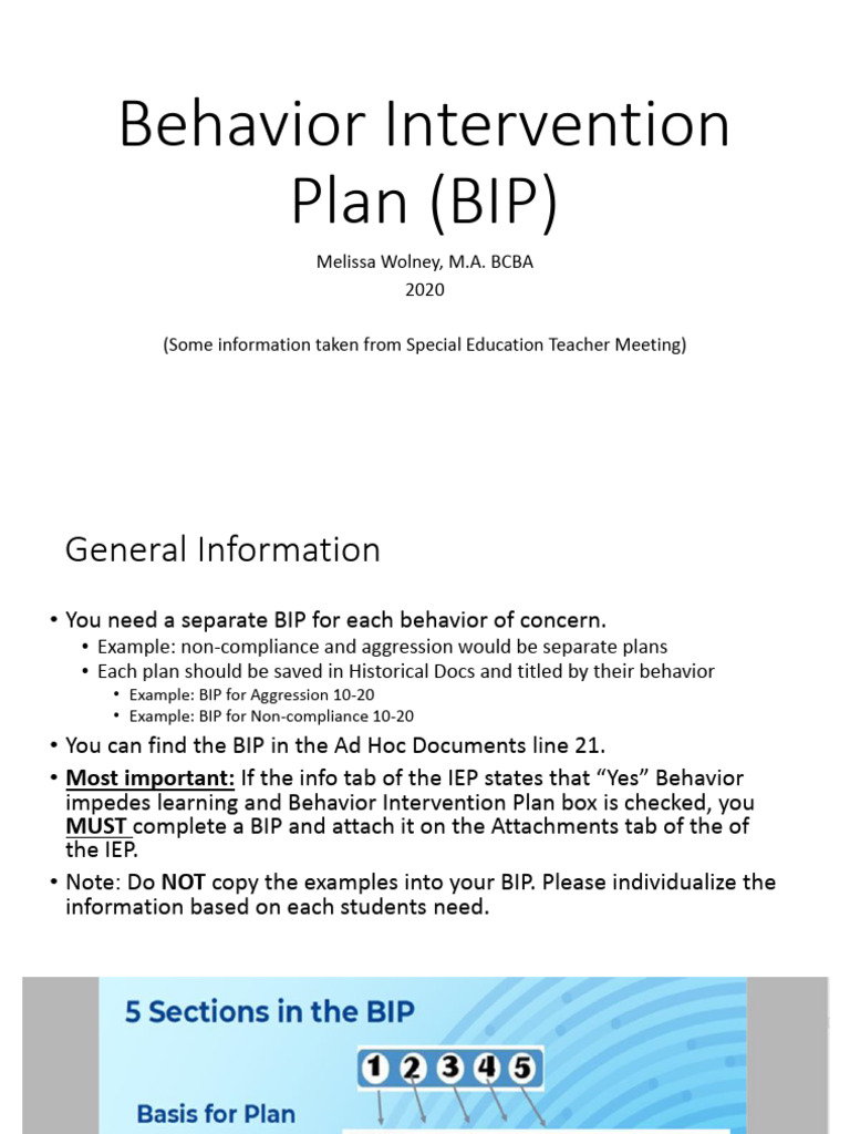 BIP - Behavior Intervention Plan | PDF