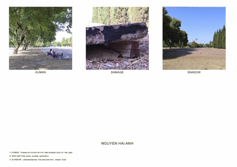 Visita Visual Colectiva - Collective Visual Visit - Nguyen Hai Anh | PDF