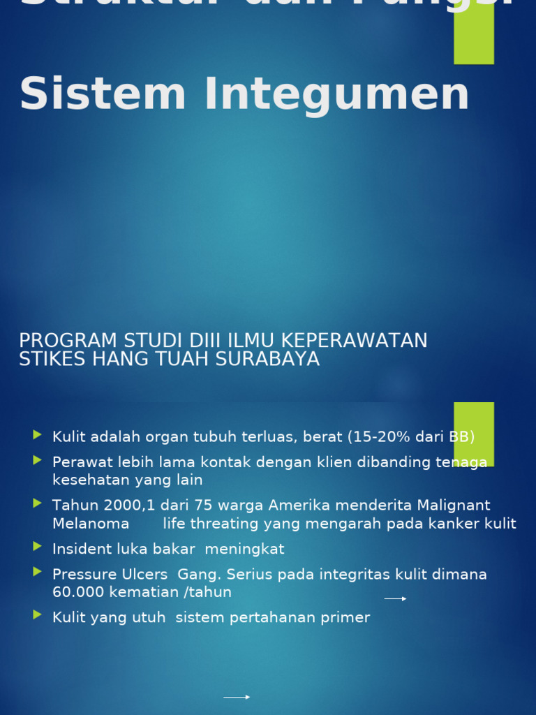 Struktur Dan Fungsi Sistem Integumen | PDF