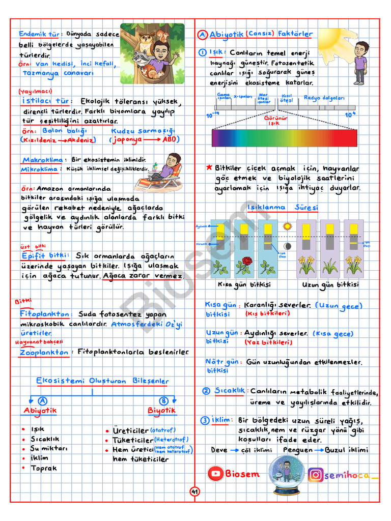 Ekoloji Ekosistemi Oluşturan Bileşenler Biosem 1 | PDF