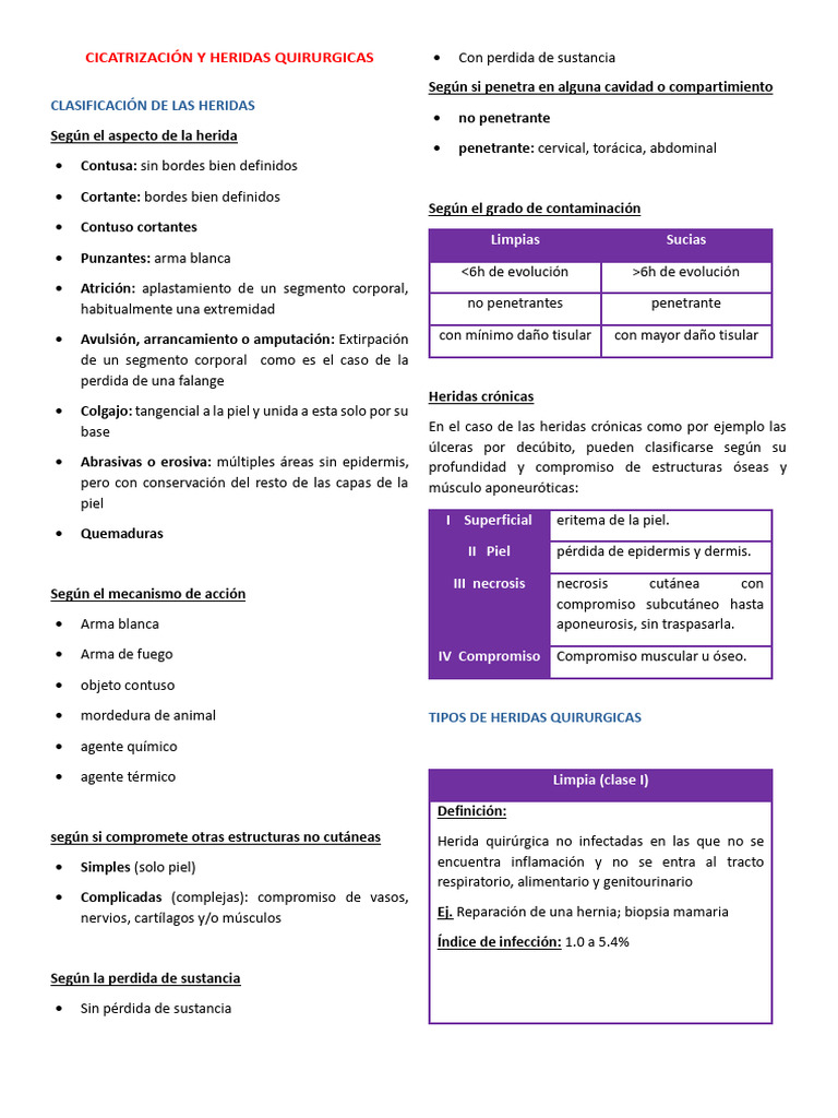 Cicatrización - Malkon | PDF