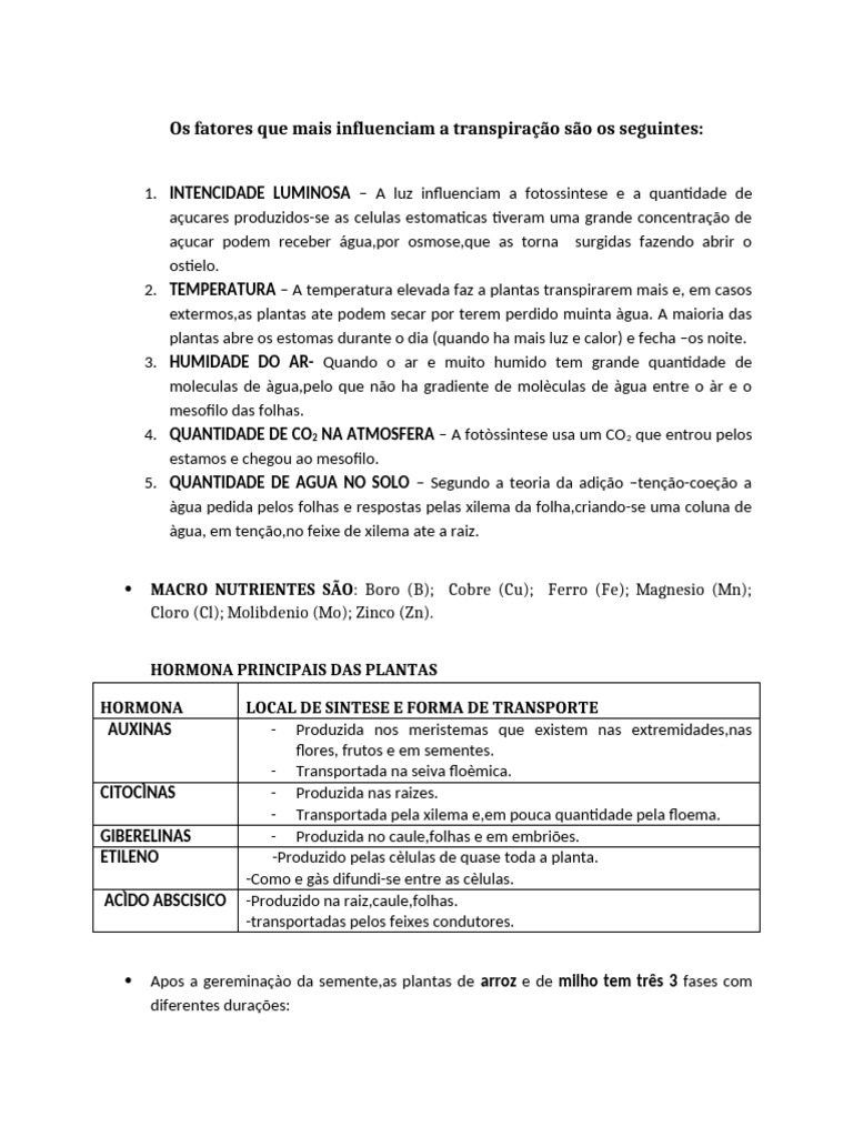 Tetum | PDF