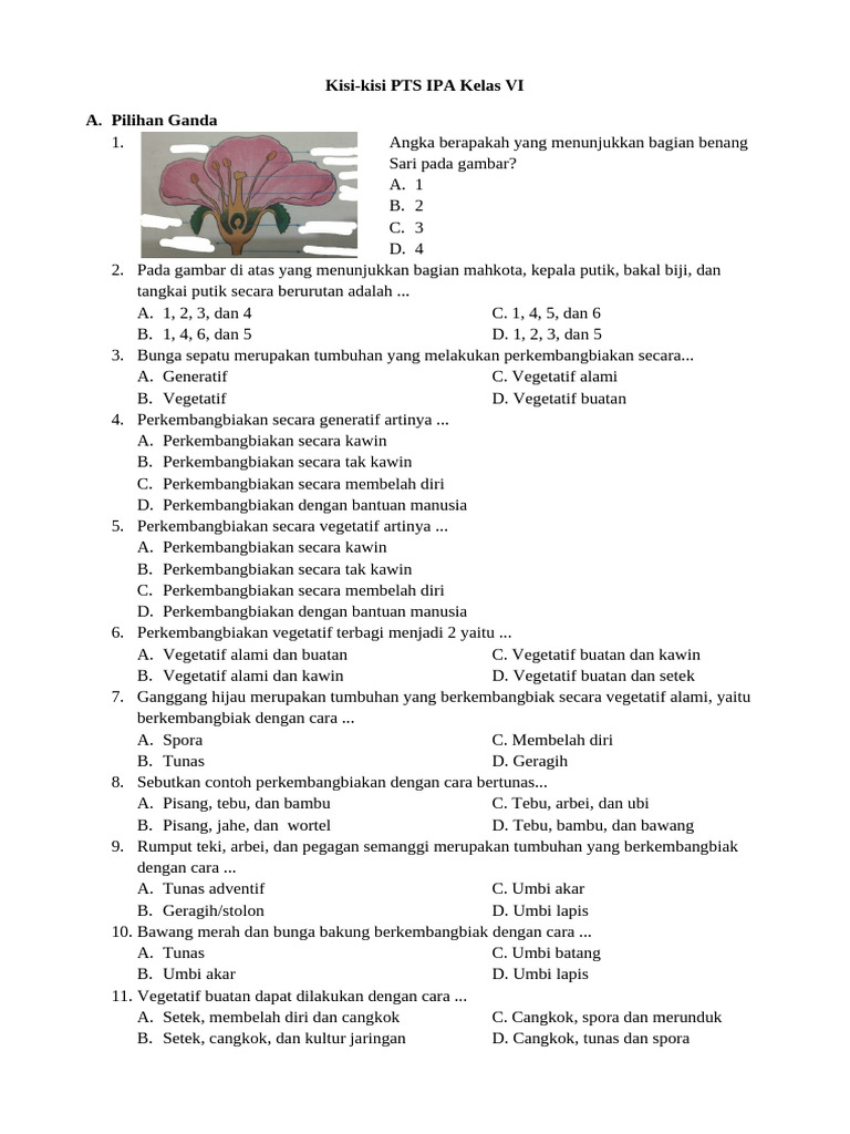 PTS Senin Fizi | PDF