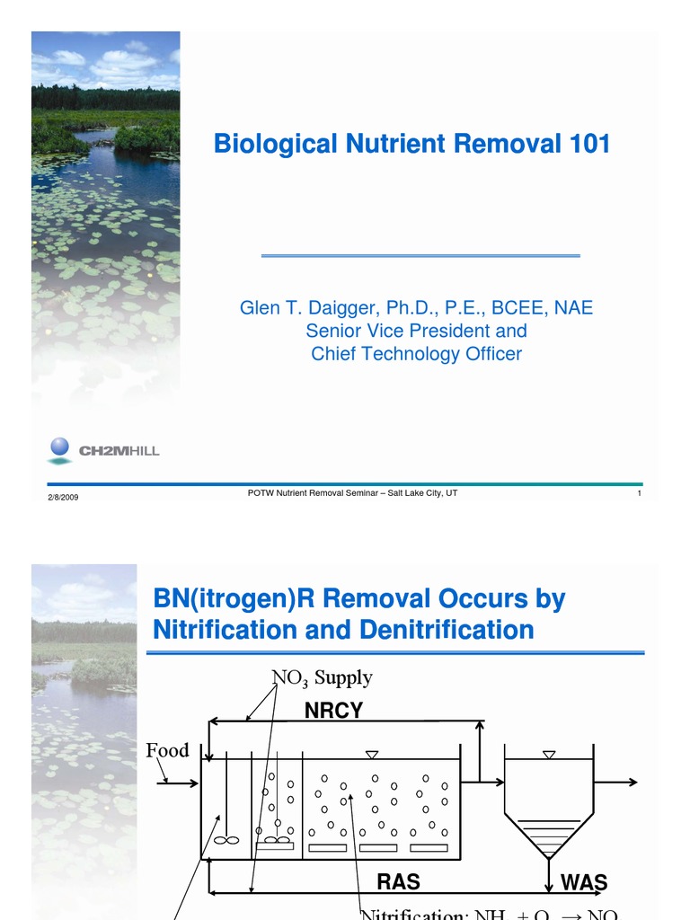 Biological Nutrient Removal | Sewage Treatment | Nutrients