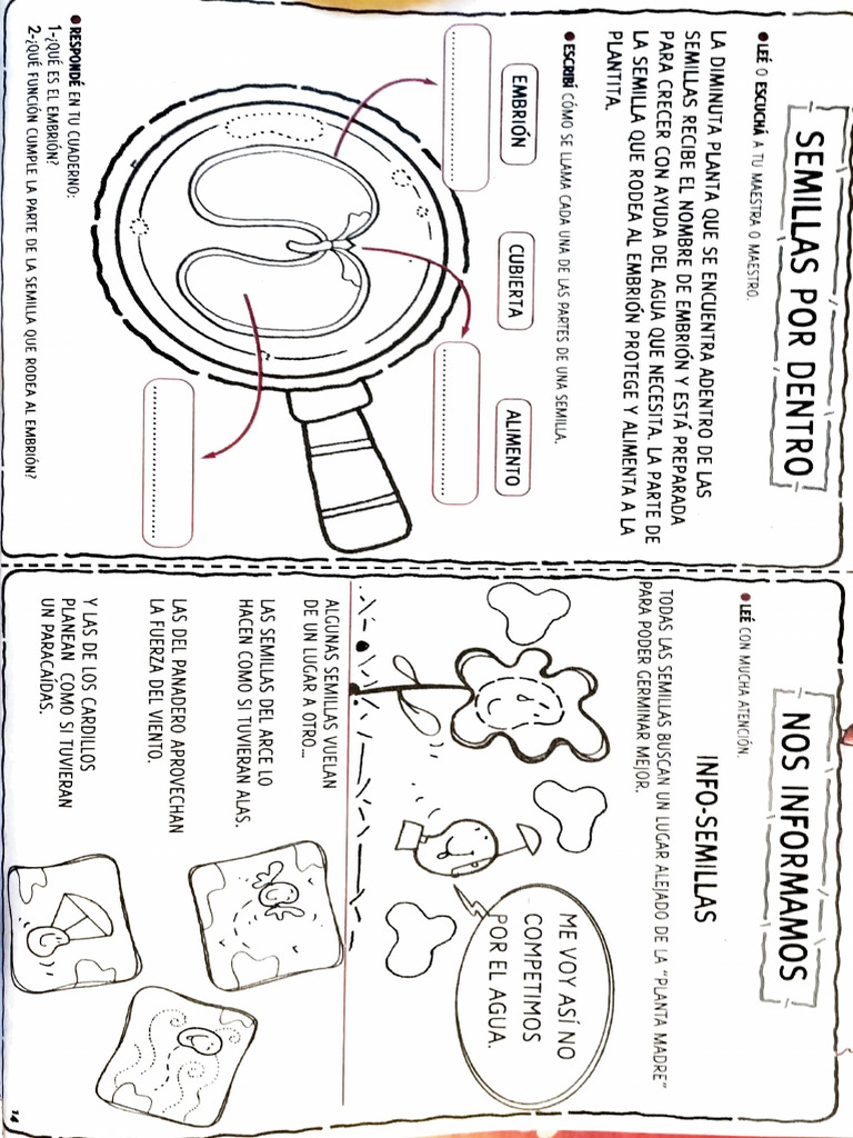 Semilla | PDF