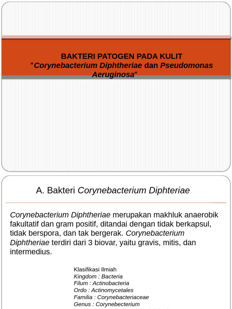Bakteriologi Klompok 1 | PDF