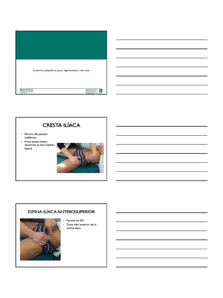 Pelvis I Maluc - Os | PDF