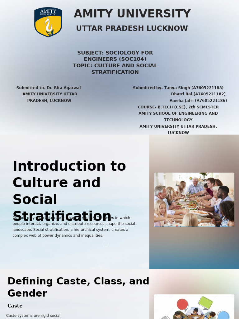 Culture and Social Stratification | PDF
