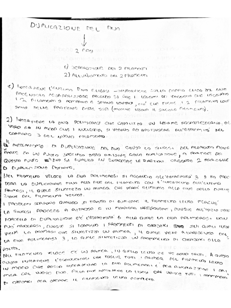 Appunti Italiano | PDF