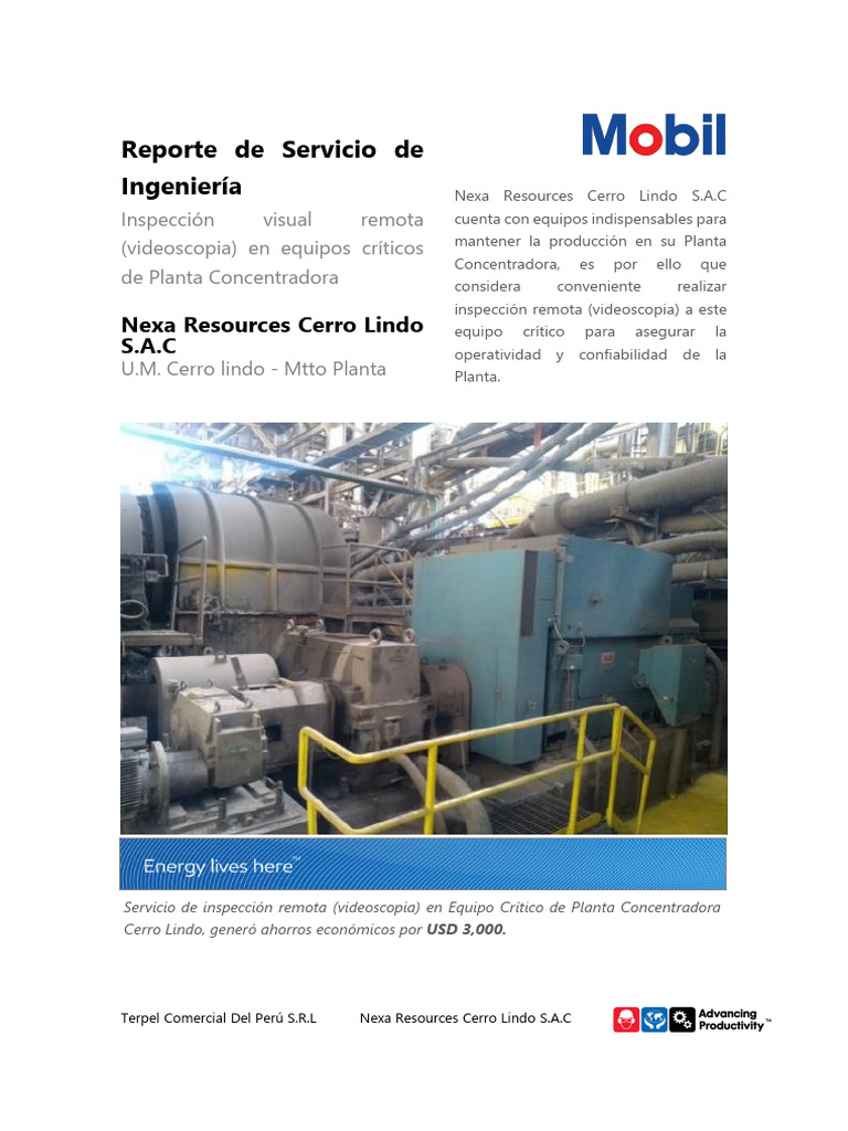Reporte Inspeccion Visual Remoto | PDF