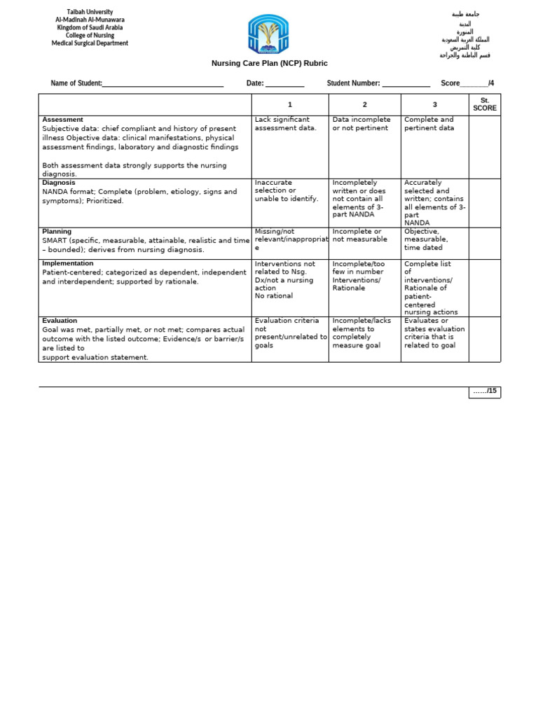 9 Modified NCP Evaluation Rubric | PDF