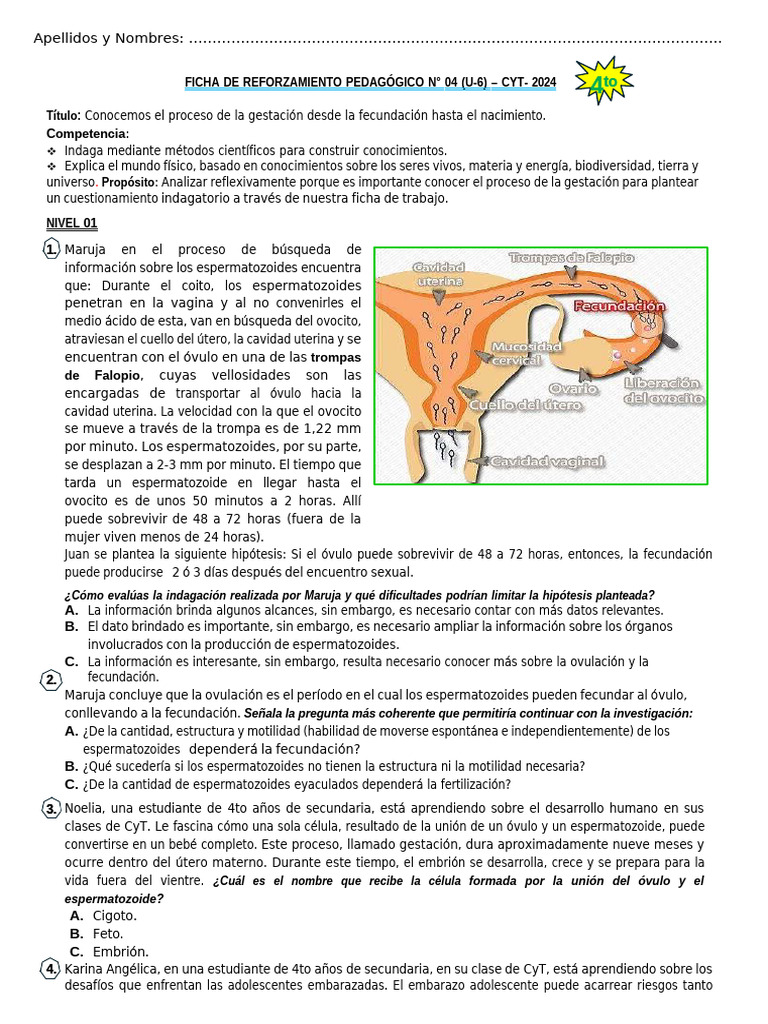 Ficha-De-Reforzamiento 4 U6 | PDF | Embrión | Ciencia y matemáticas