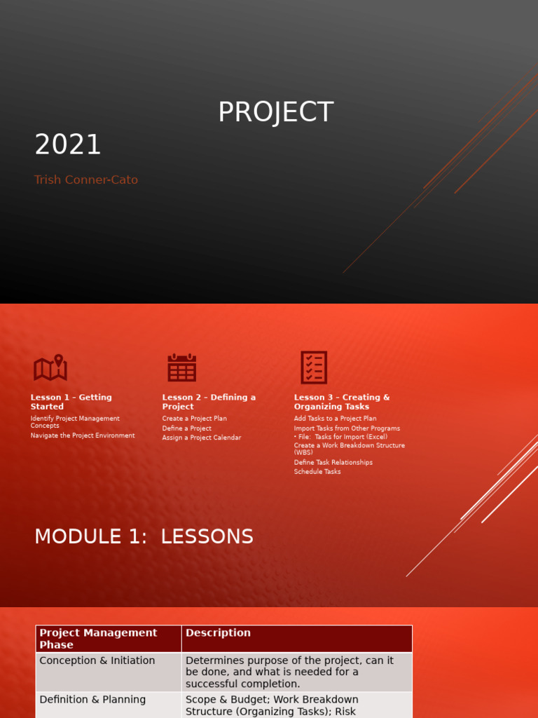 Microsoft Project 2021 | PDF