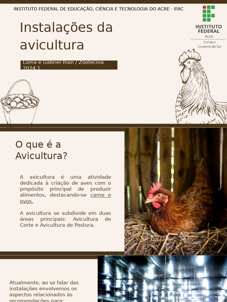 Organic Chicken Farming Project Proposal by Slidesgo | PDF