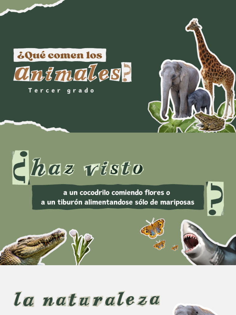 Presentación Educativa Sobre Que Comen Los Animales Ilustrativa Verde y ...