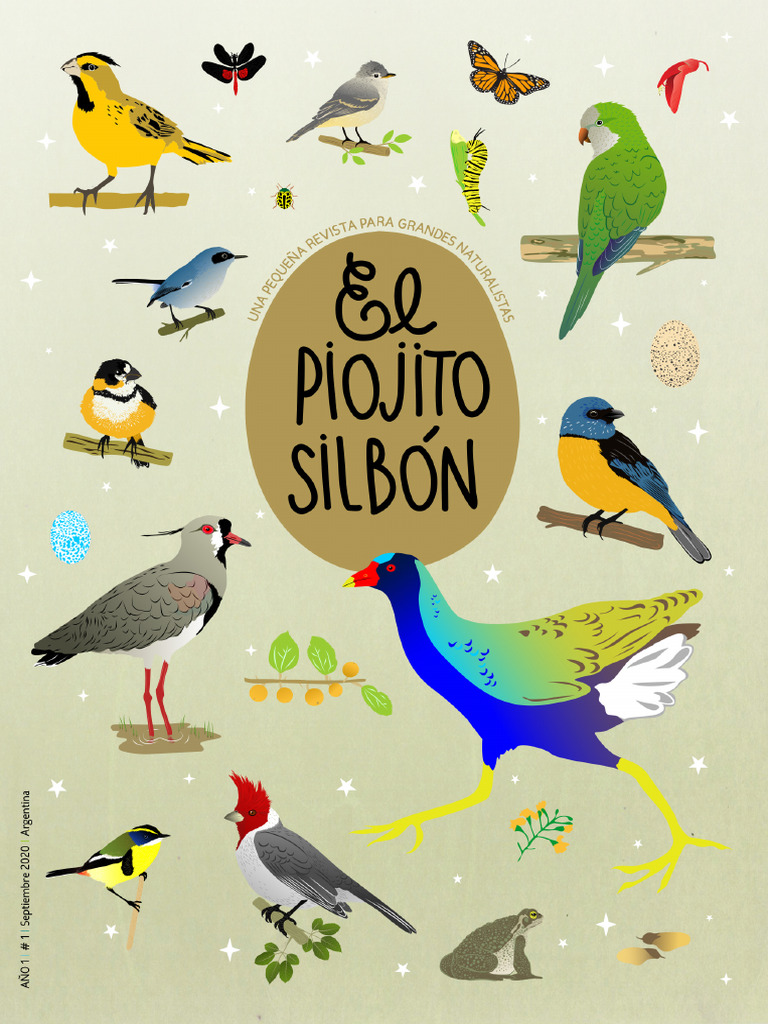 El Piojito Silbon Nro 1 2020 CC by NC Sa | PDF