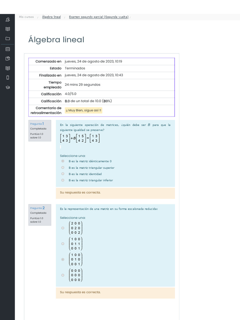 Examen Segundo Parcial (Segunda Vuelta) - Revisión Del Intento | PDF