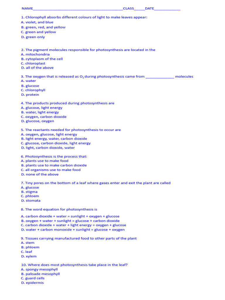 Multiple Choice Photosynthesis | PDF
