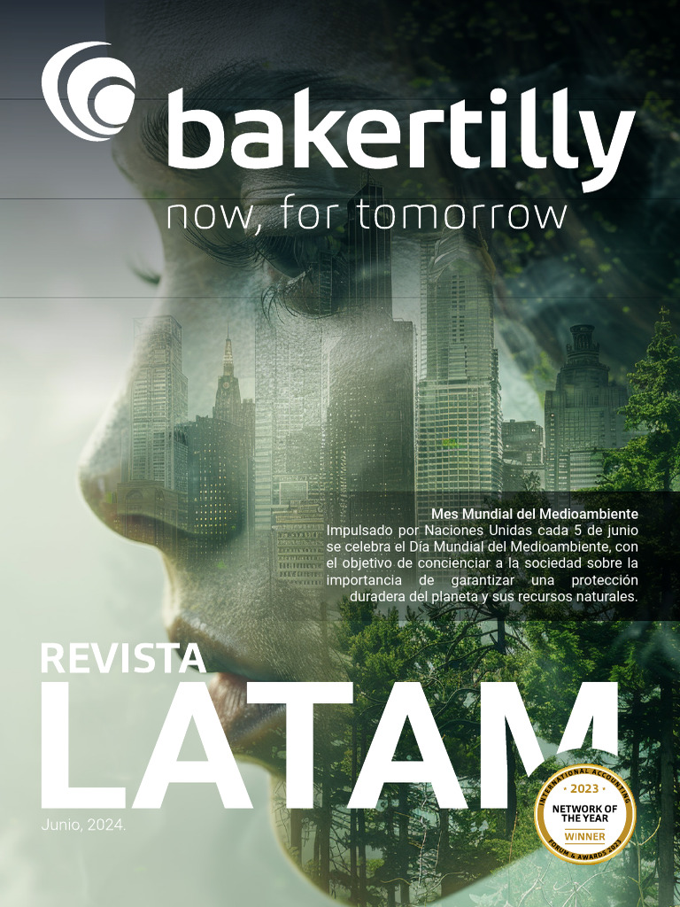 Bolet N de Impuestos Baker Tilly LATAM 1719273957 | PDF