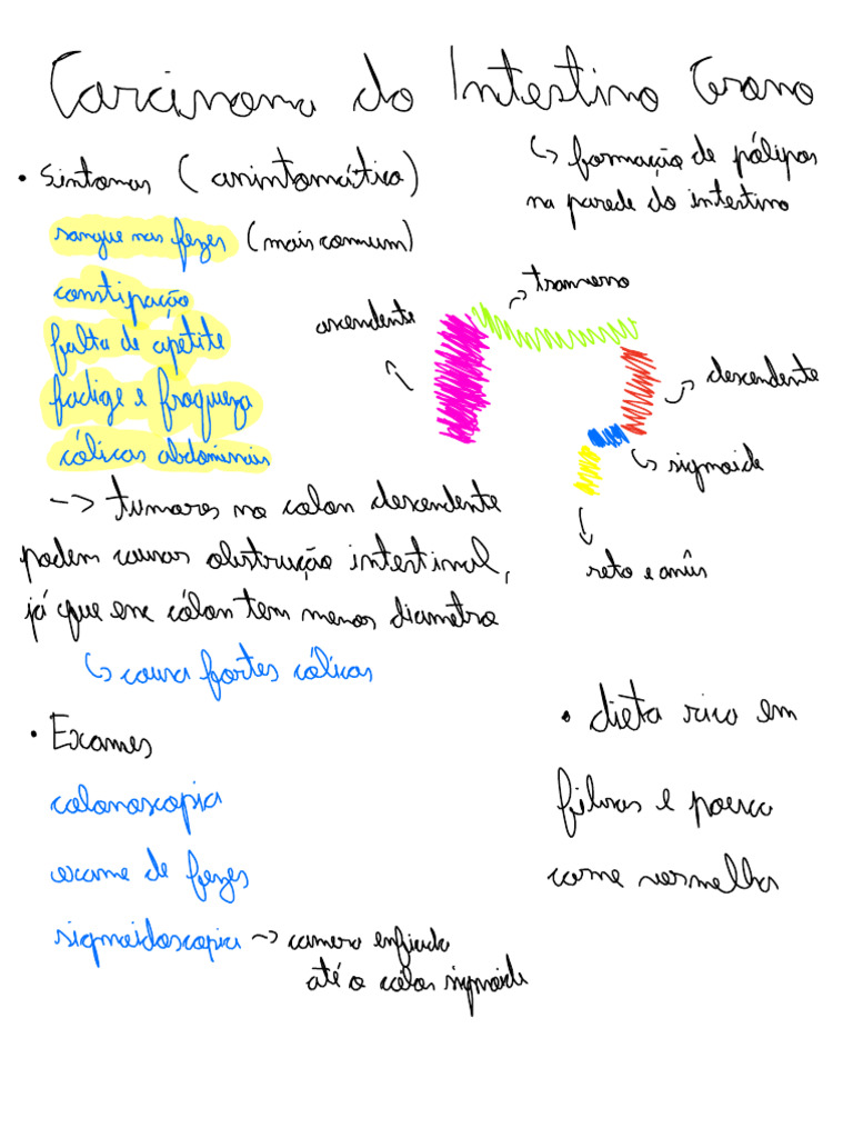 Nota 8 de Mar. de 2024 | PDF