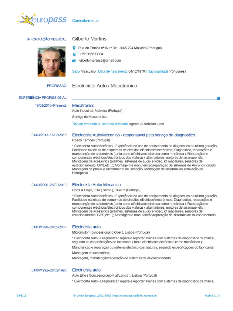 CV Europass 20160914 Martins PT | PDF