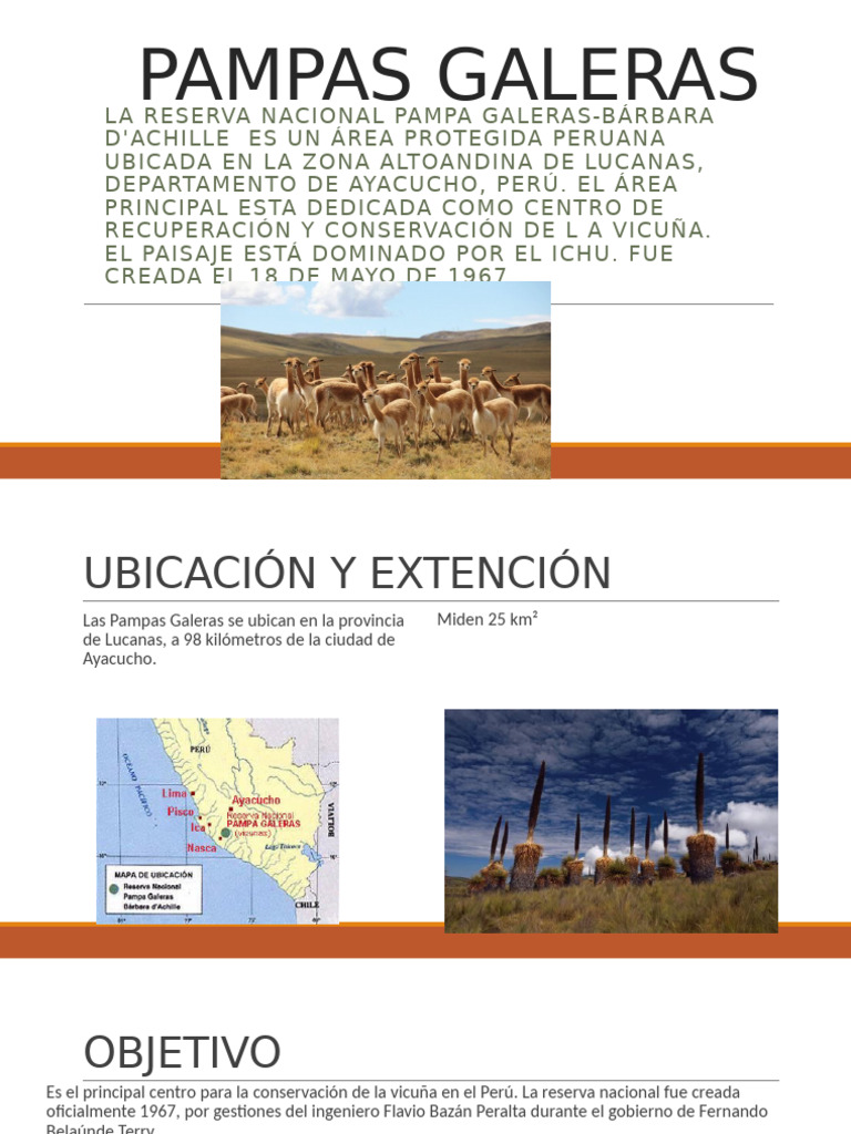 Pampas Galeras | PDF