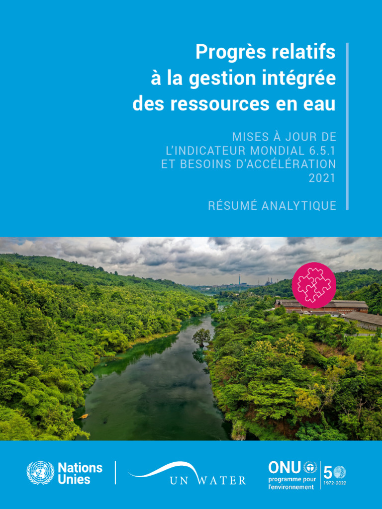 SDG 6.5.1 Global Progress Report 2020 EXECUTIVE SUMMARY - FR | PDF