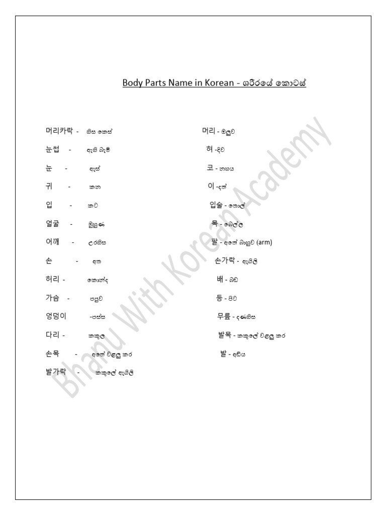 Body Parts in Korean | PDF